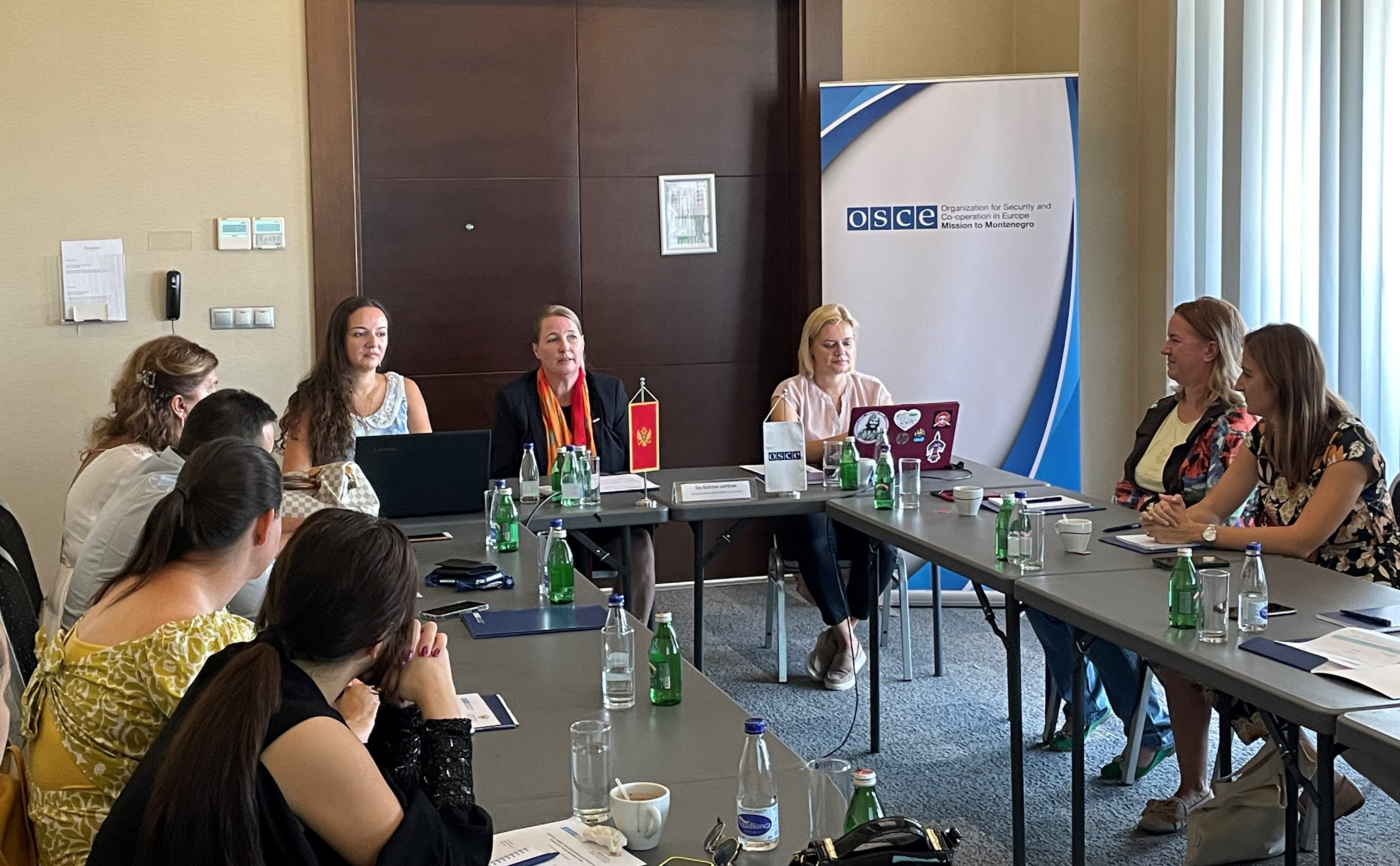 553081 | OSCE Mission to Montenegro